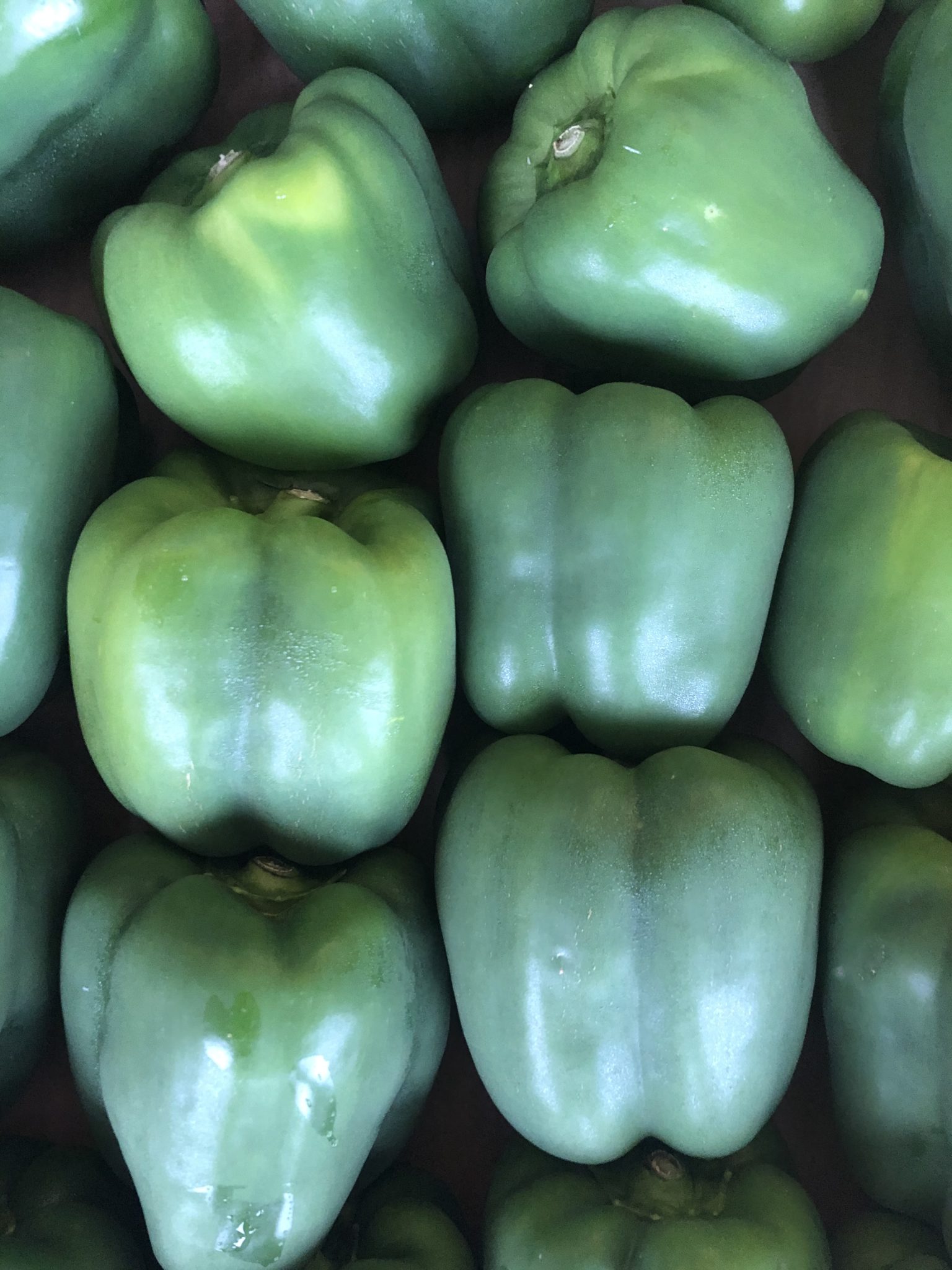 Poivron Vert – MFL Primeur